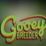 Gooey Breeder Archives - Genetic Supply